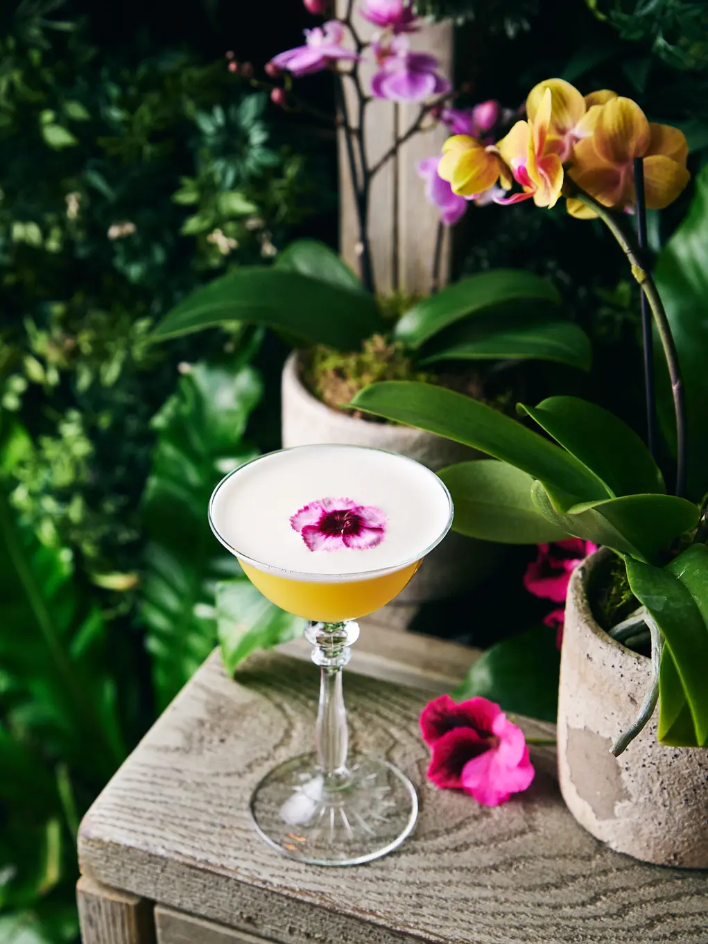 The Hari Bar & Terrace | Belgravia Village, London